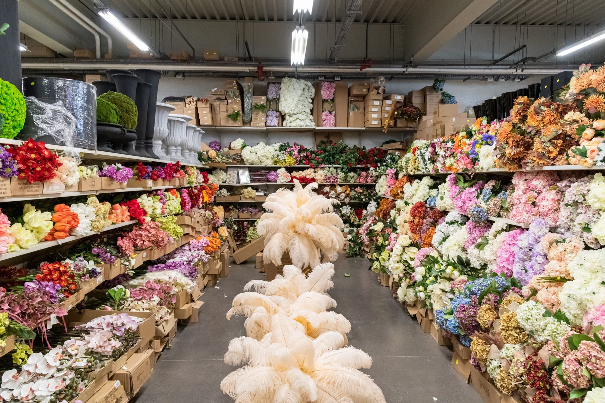 Grossistes pour fleuristes | Marché de Rungis