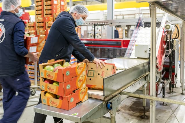 Services acheteurs : la logistique sur le Marché de Rungis