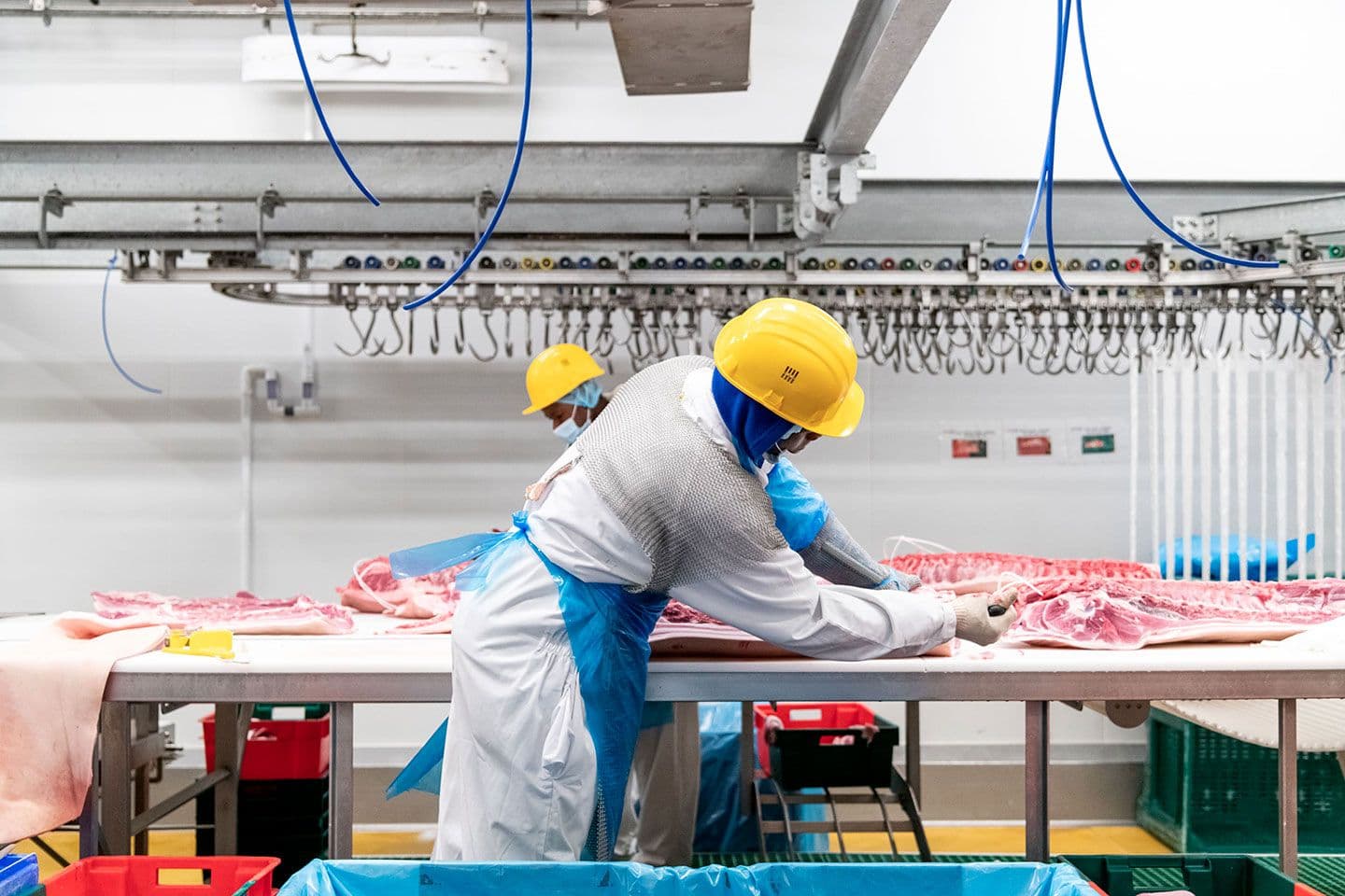 Les carreaux de vente en gros du Marché de Rungis