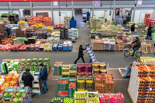 Comprendre le Marché de Rungis - Toutes les infos utiles