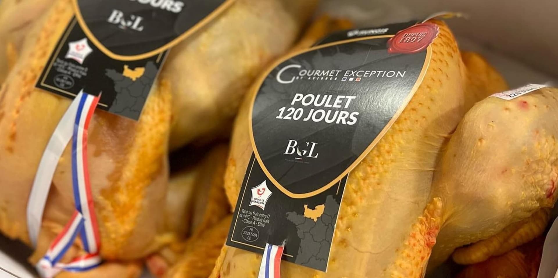 Grossistes en poulets pour professionnels | Marché de Rungis